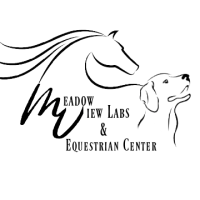 Contact – Meadowview Labs & Equestrian Center